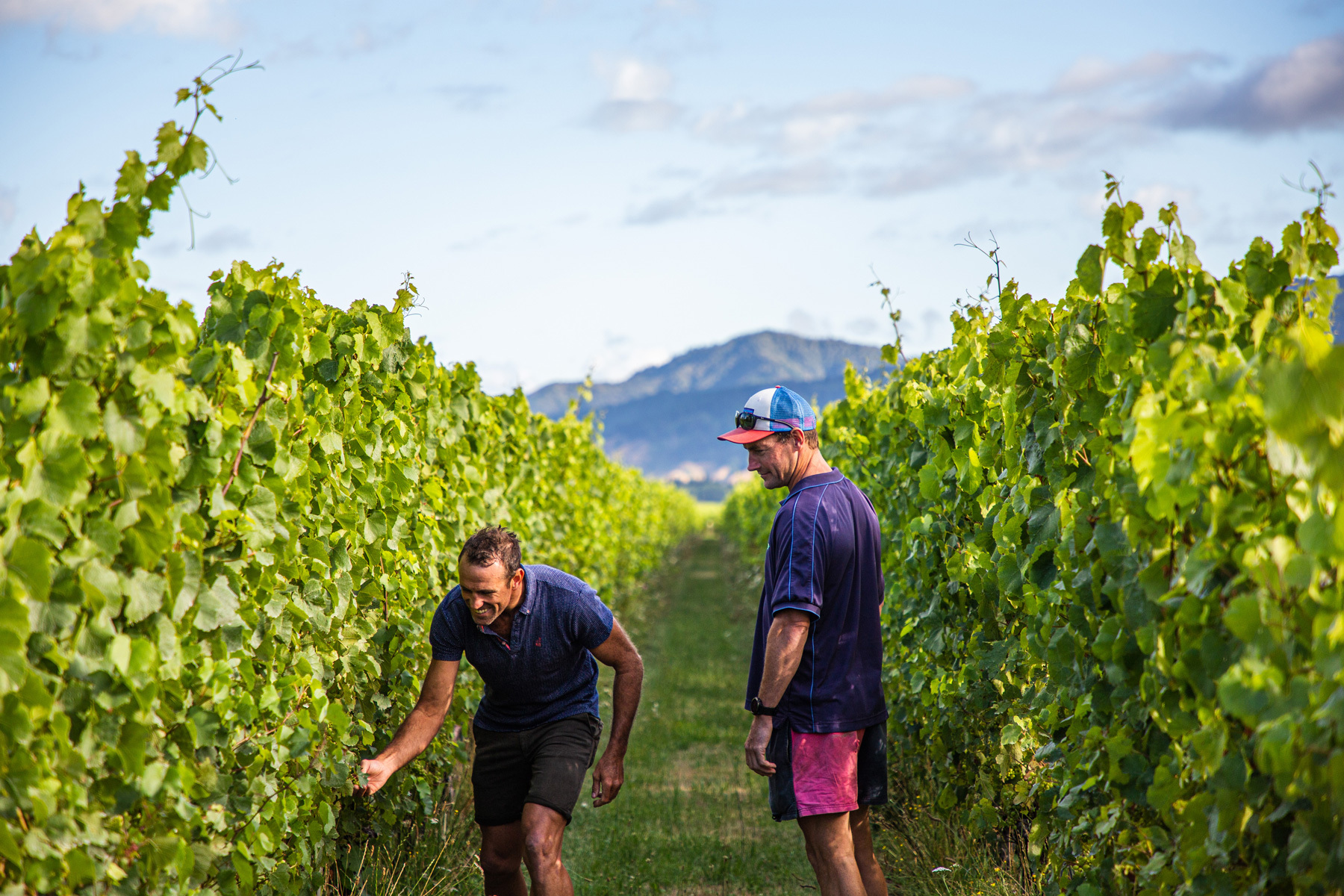 Godzone: GODZone Updates - Goldpine