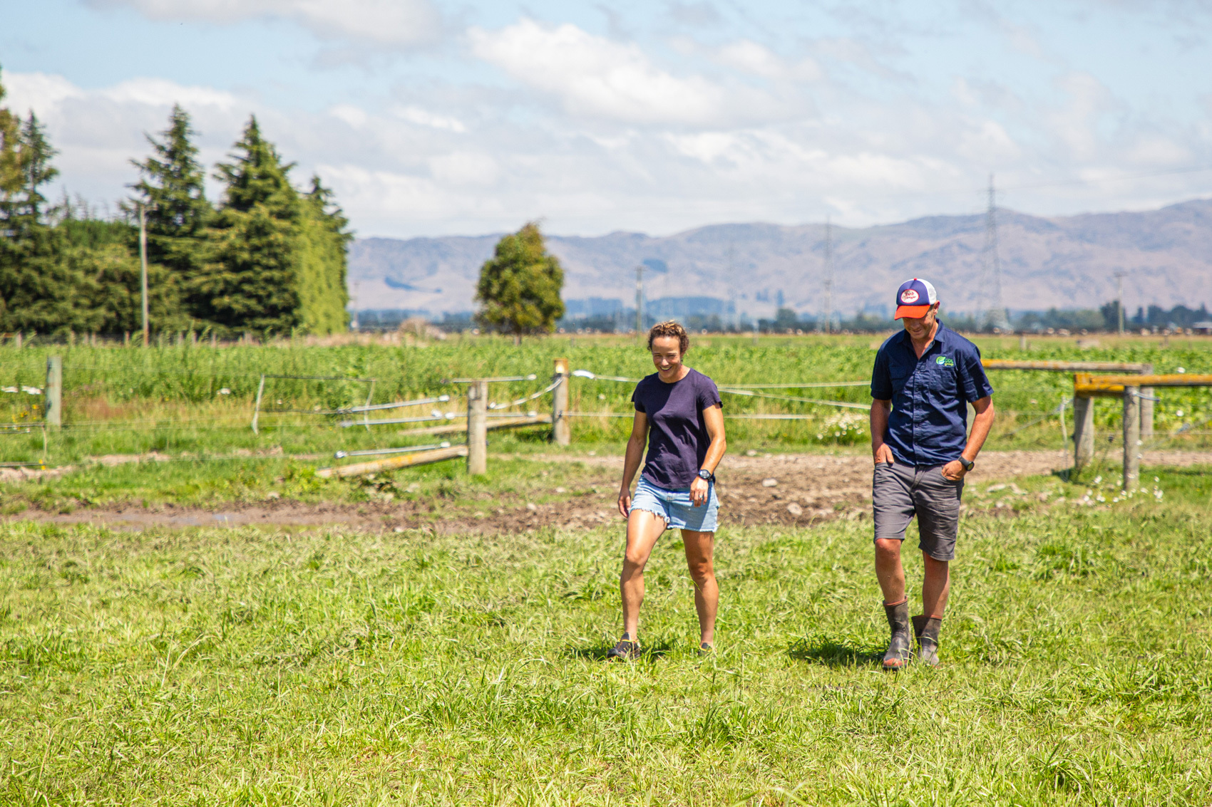 Godzone: GODZone Updates - Goldpine