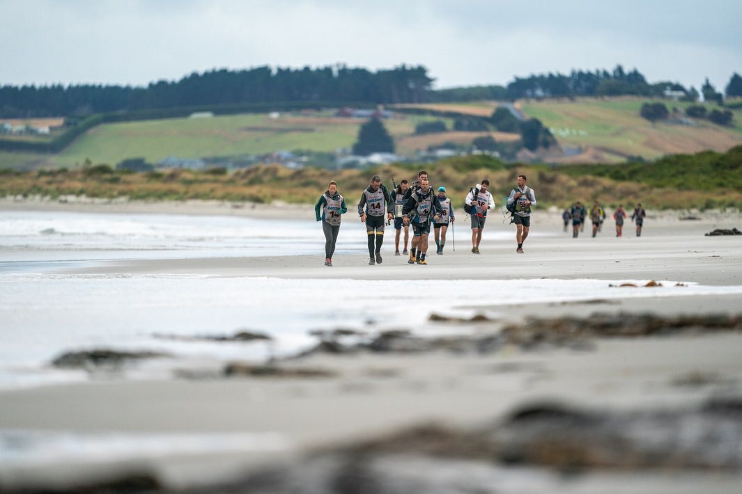 Godzone: GODZone Updates - Goldpine