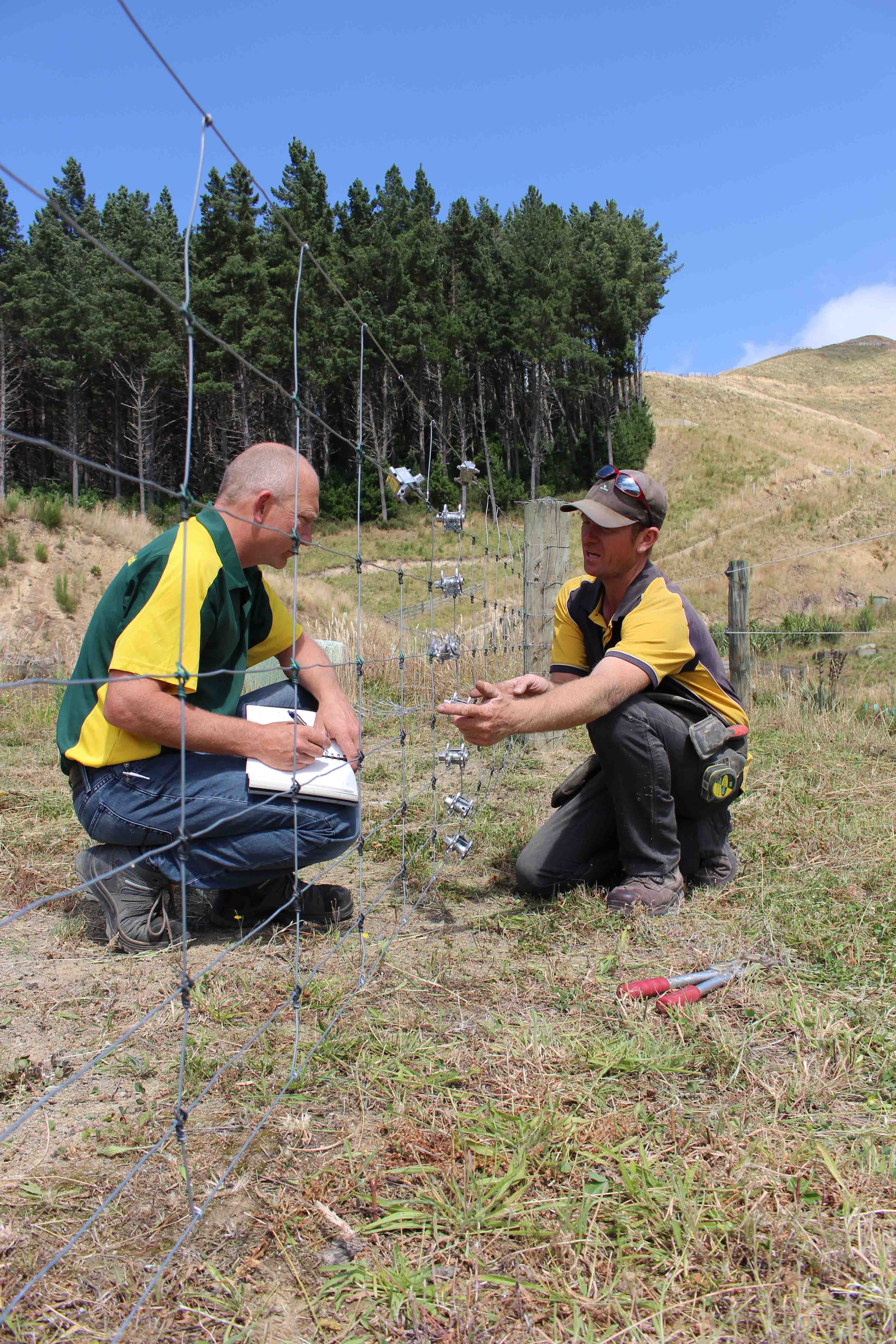 Contact Us - Goldpine