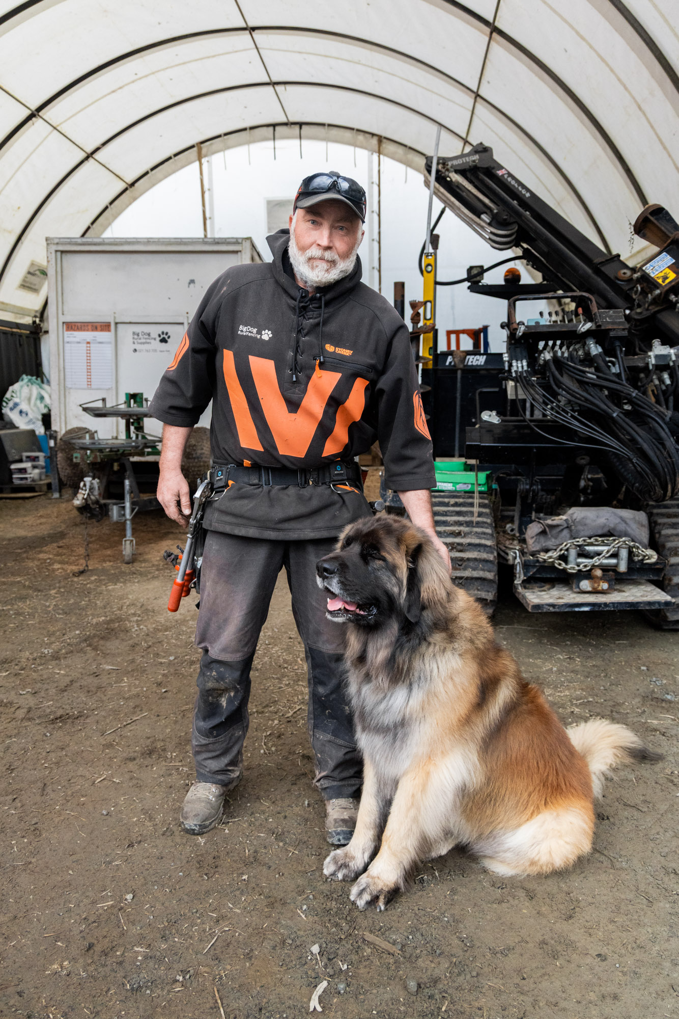 Over The Fence - Goldpine