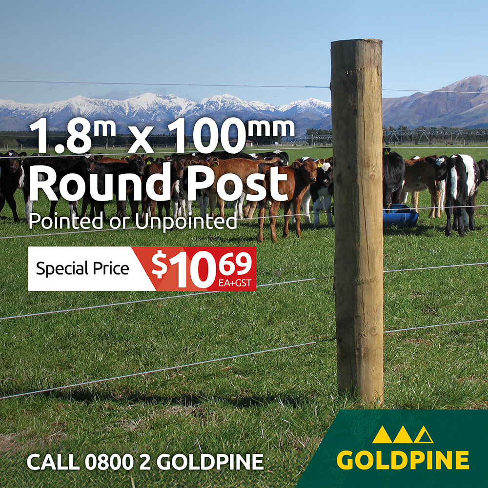 Promotion Posts - Goldpine