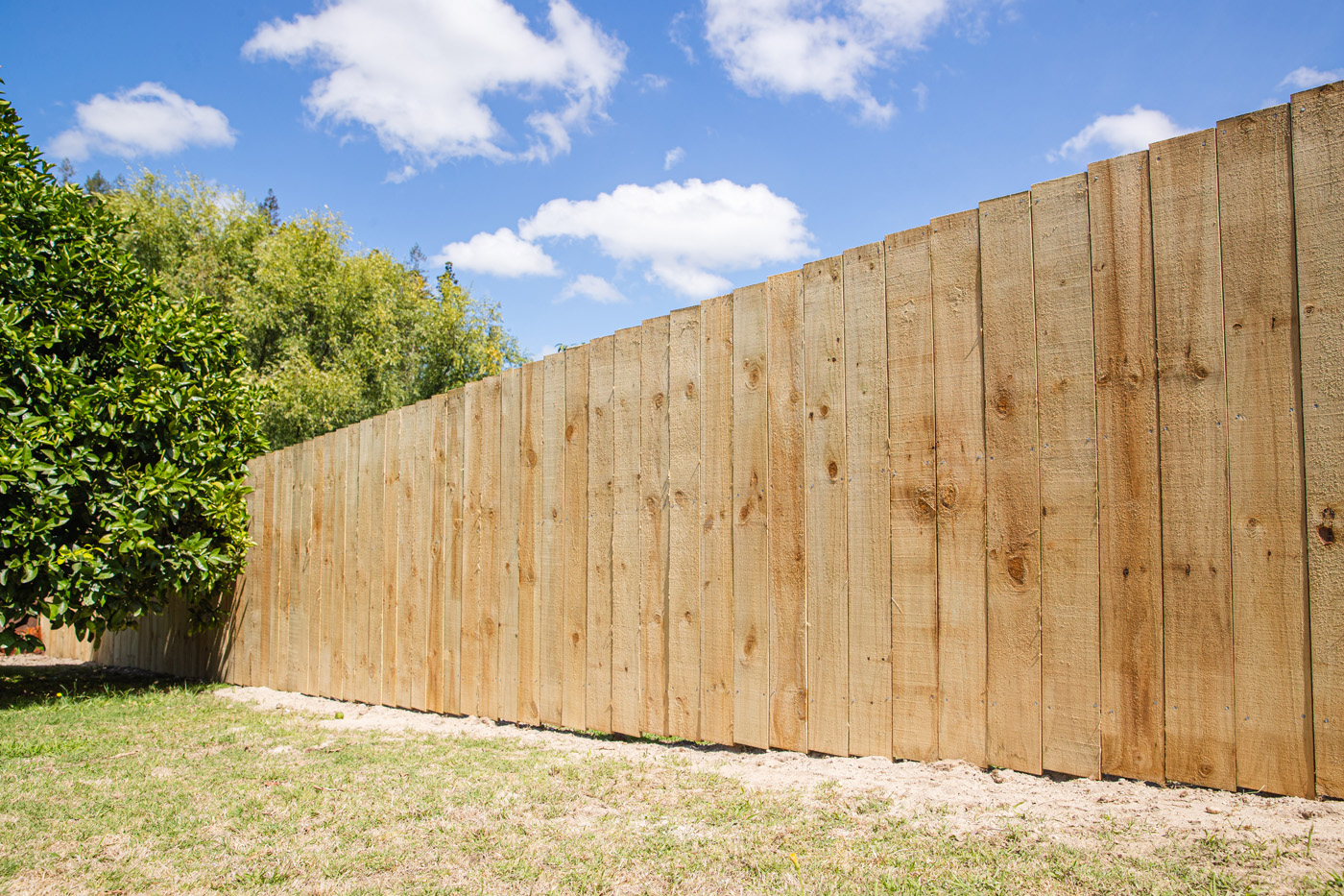 Over The Fence - Goldpine