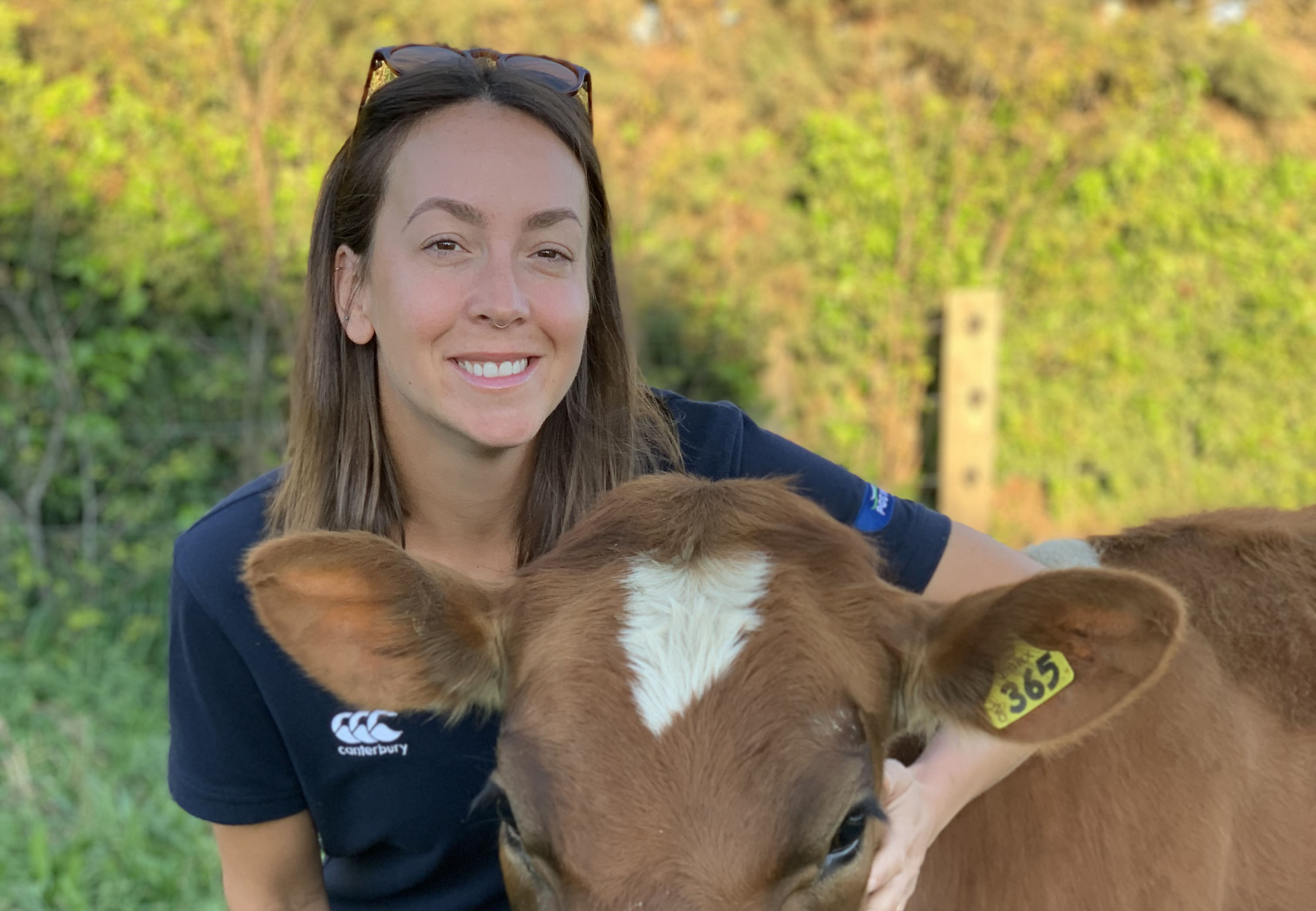 Over The Fence - Goldpine