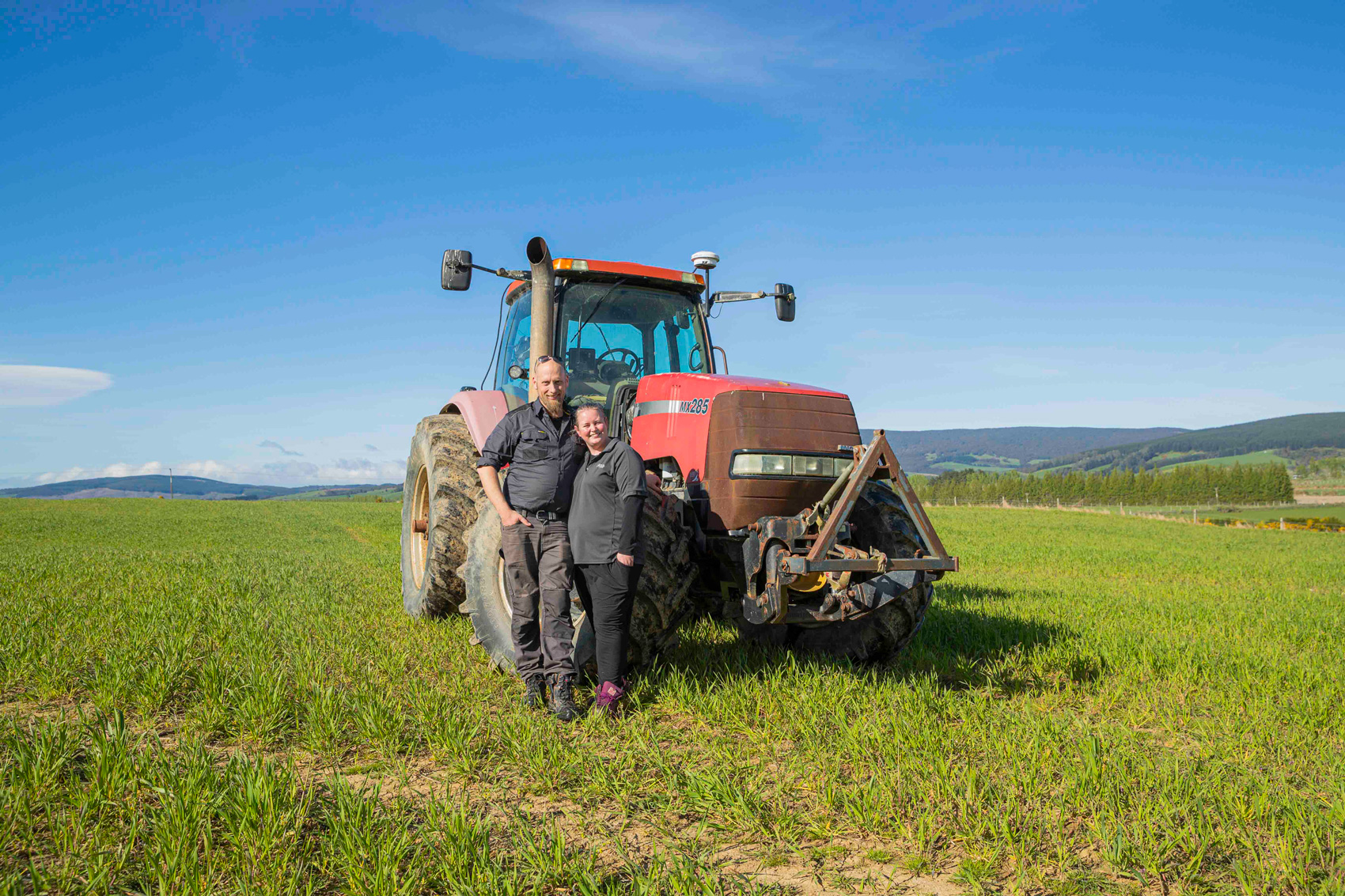 Over The Fence - Goldpine