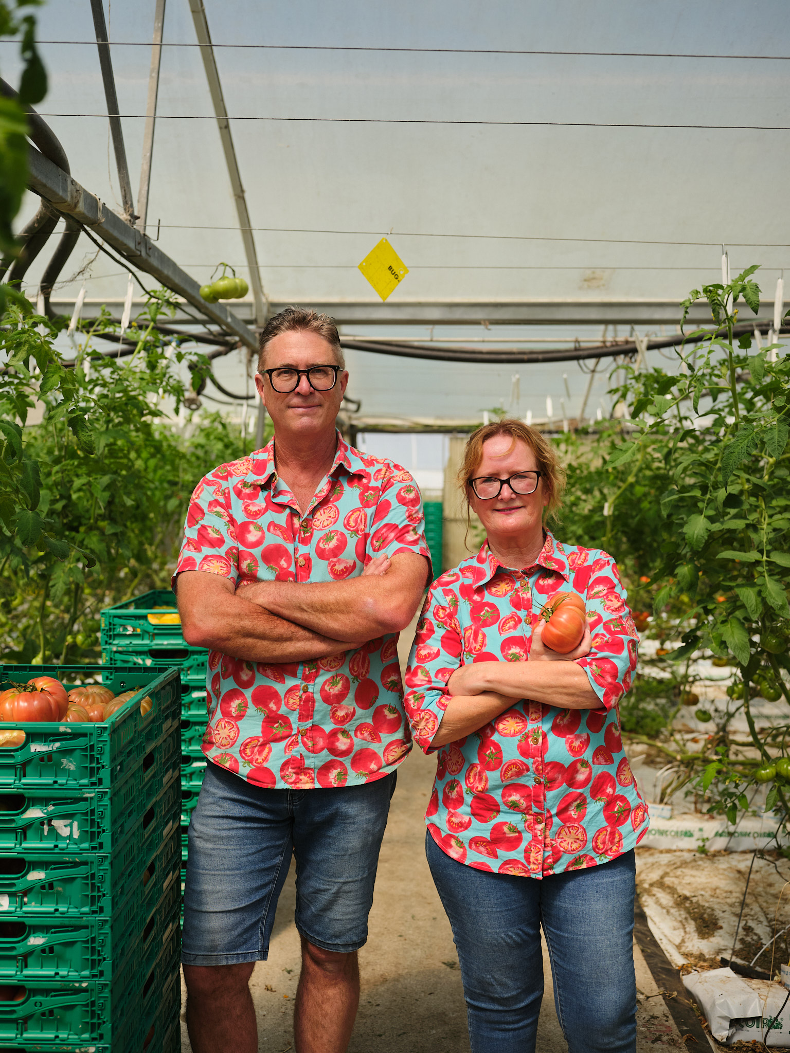 Over The Fence - Goldpine