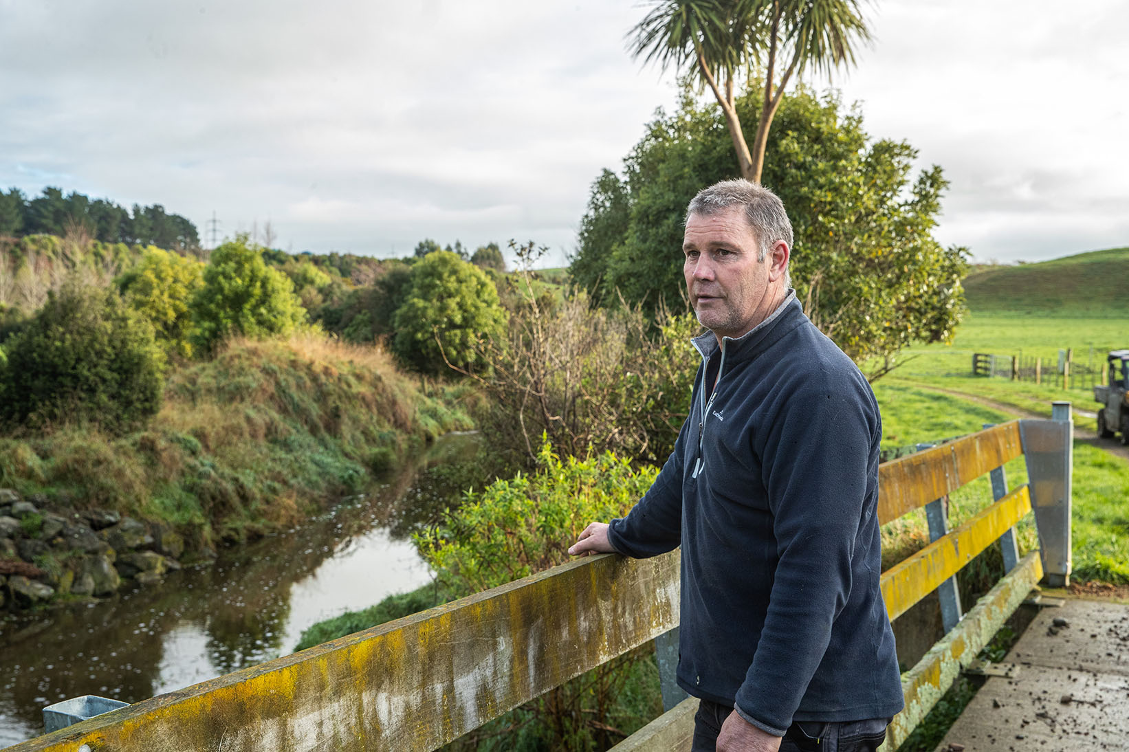 Over The Fence - Goldpine