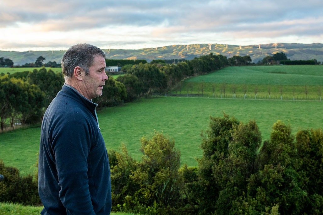 Over The Fence - Goldpine