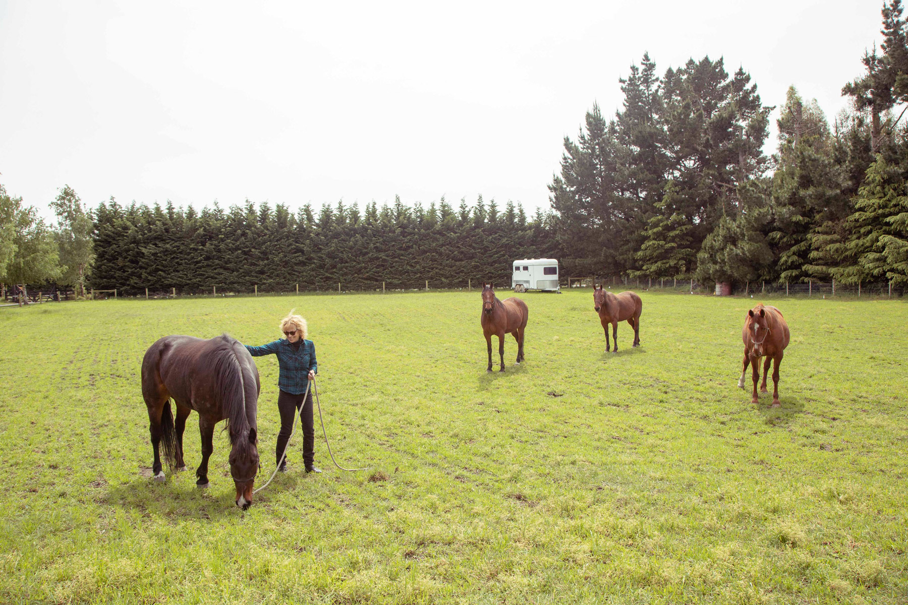 Farm Buildings - Goldpine