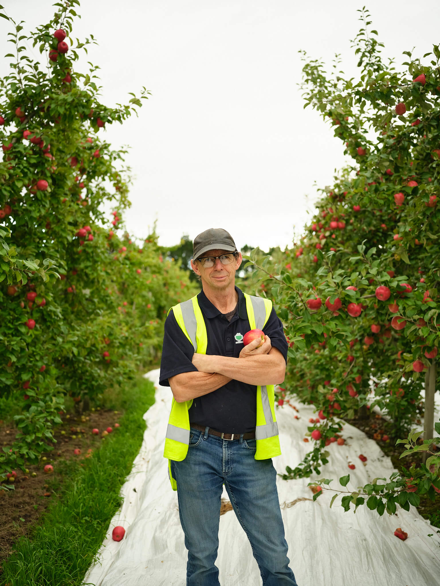 Over The Fence - Goldpine