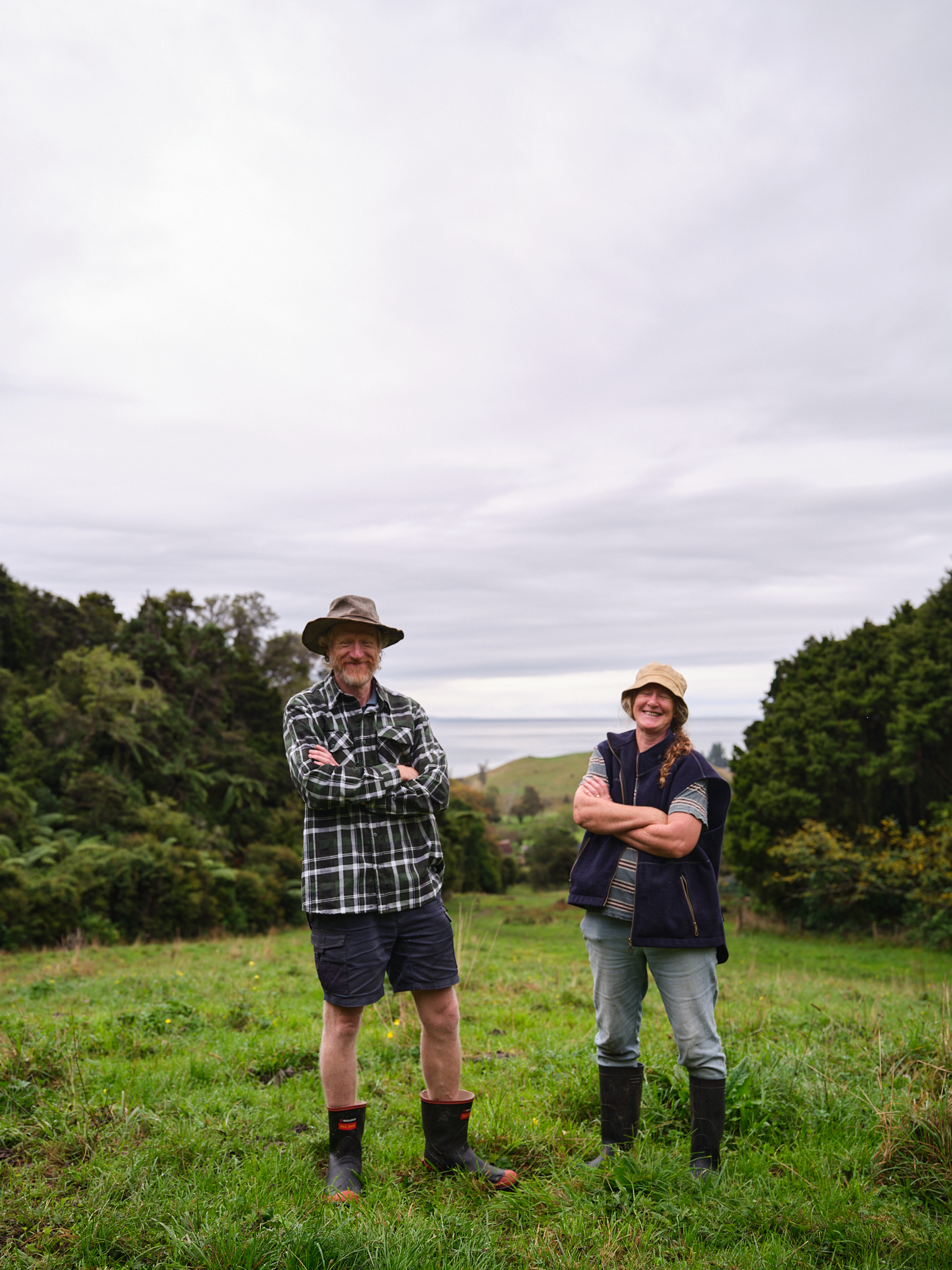 Over The Fence - Goldpine