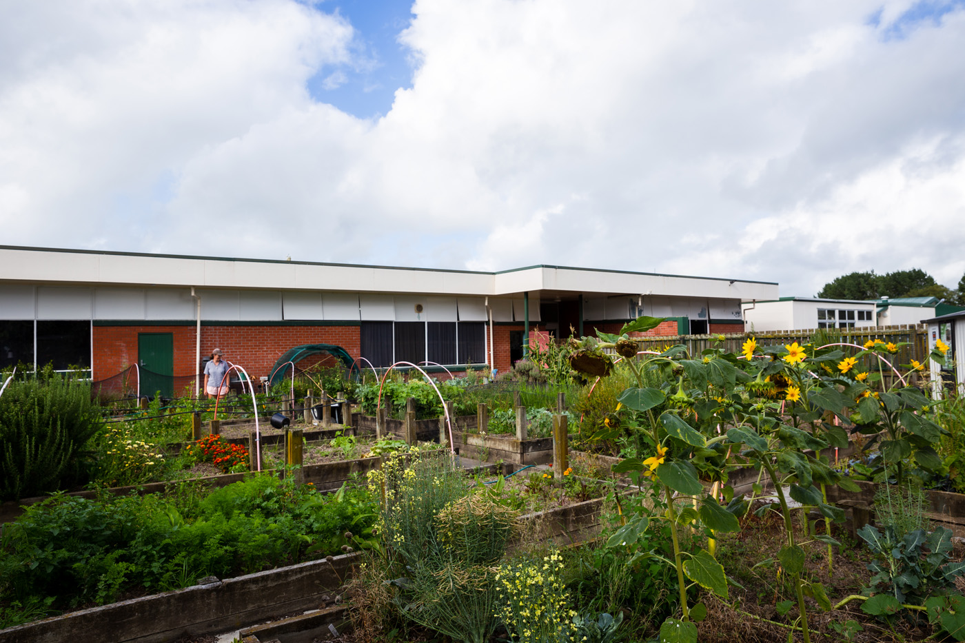 Community - Goldpine