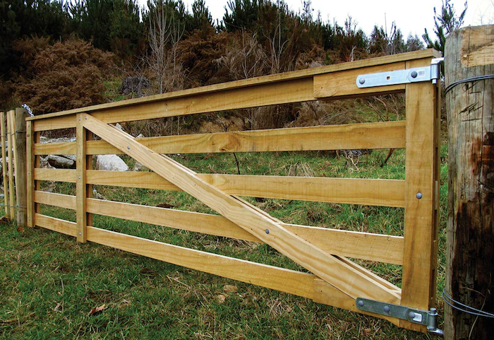 Promotion Posts - Goldpine