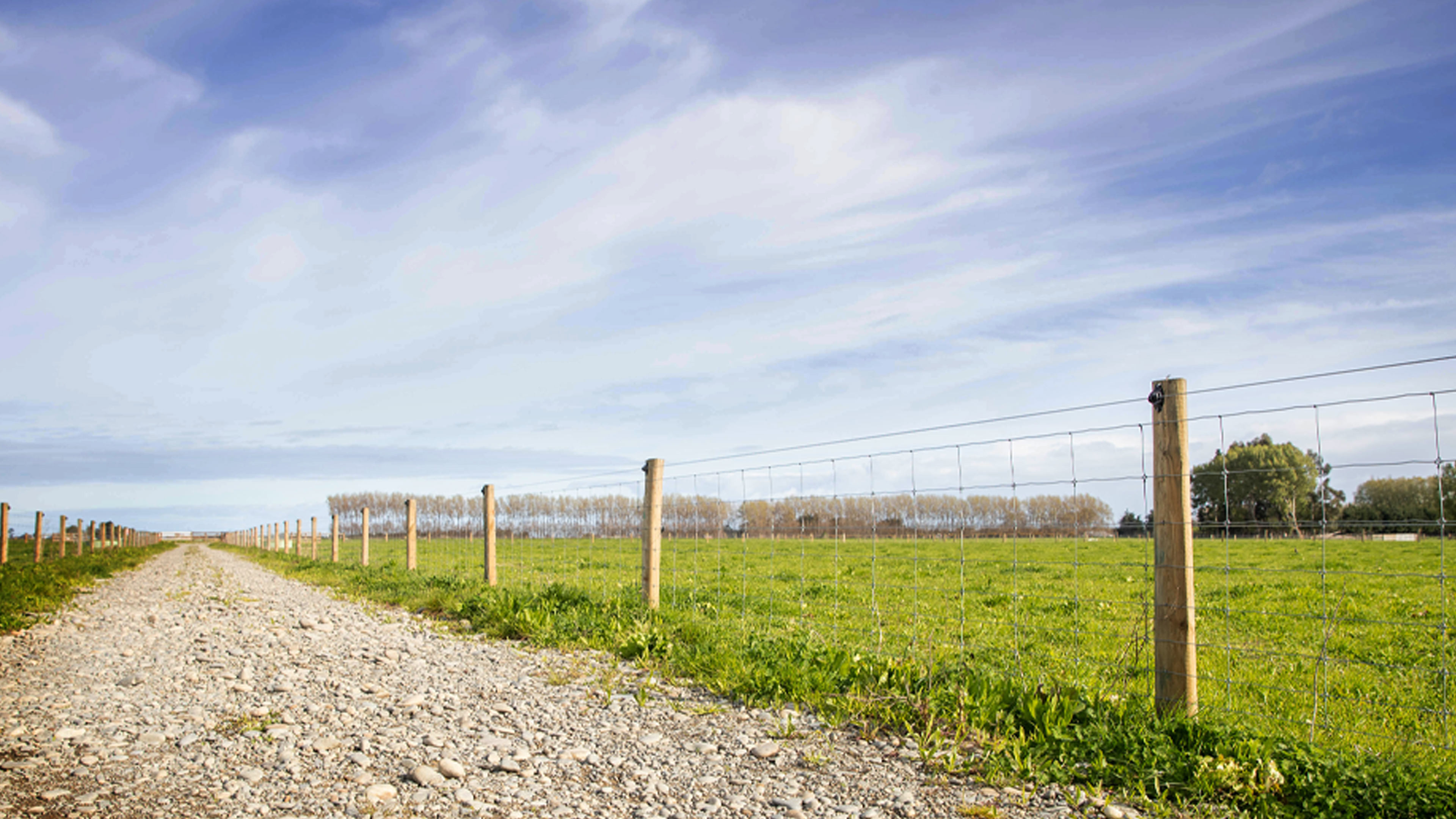 Promotion Posts - Goldpine