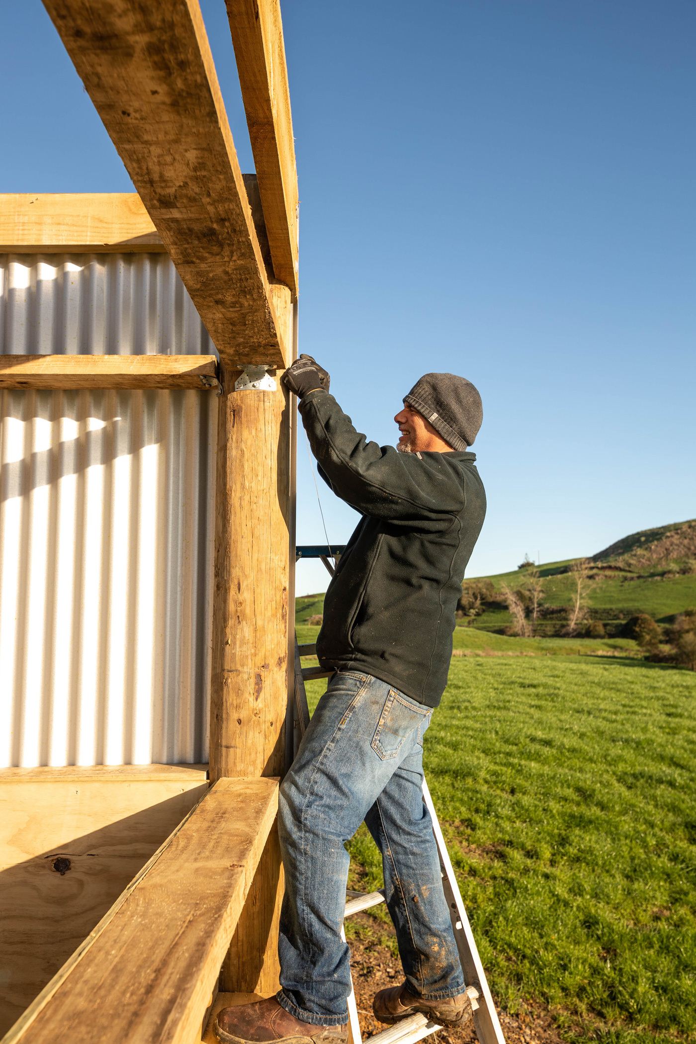 Over The Fence - Goldpine