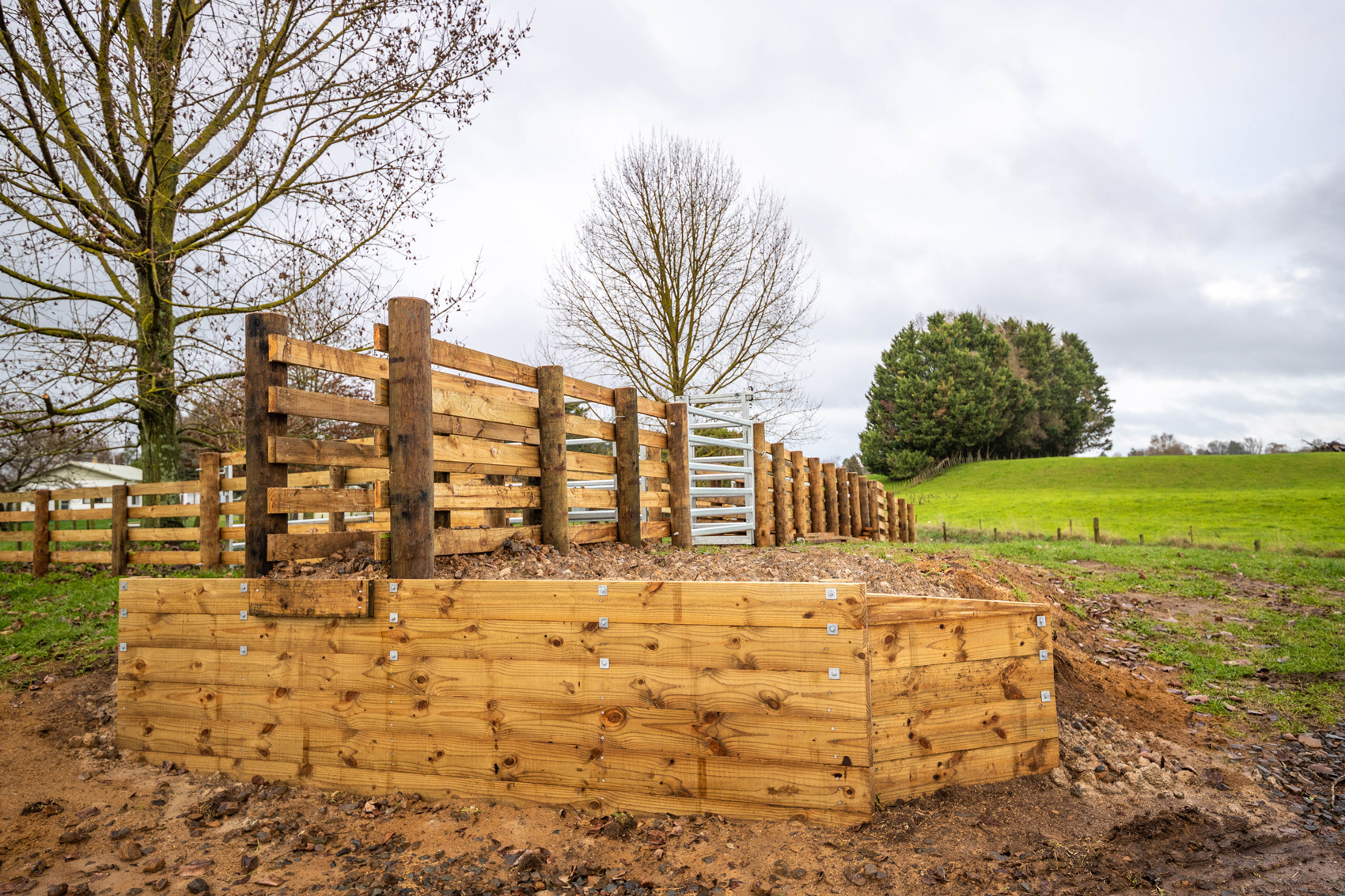 Over The Fence - Goldpine