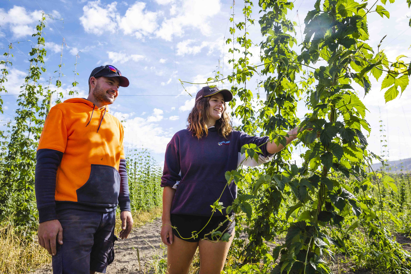 The Post July - Goldpine