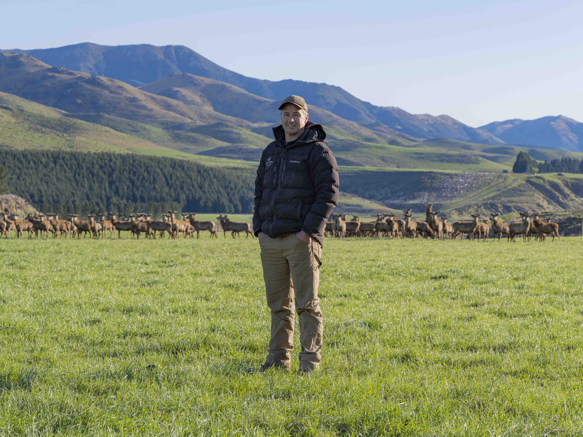 The Post November 2023 - Goldpine