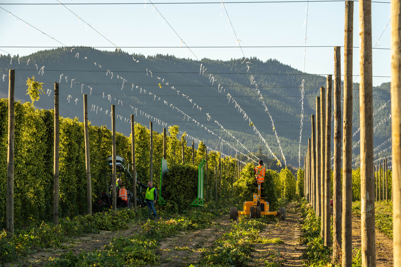 News & Events Posts - Goldpine