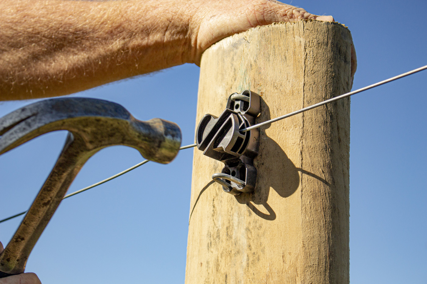 Over The Fence - Goldpine