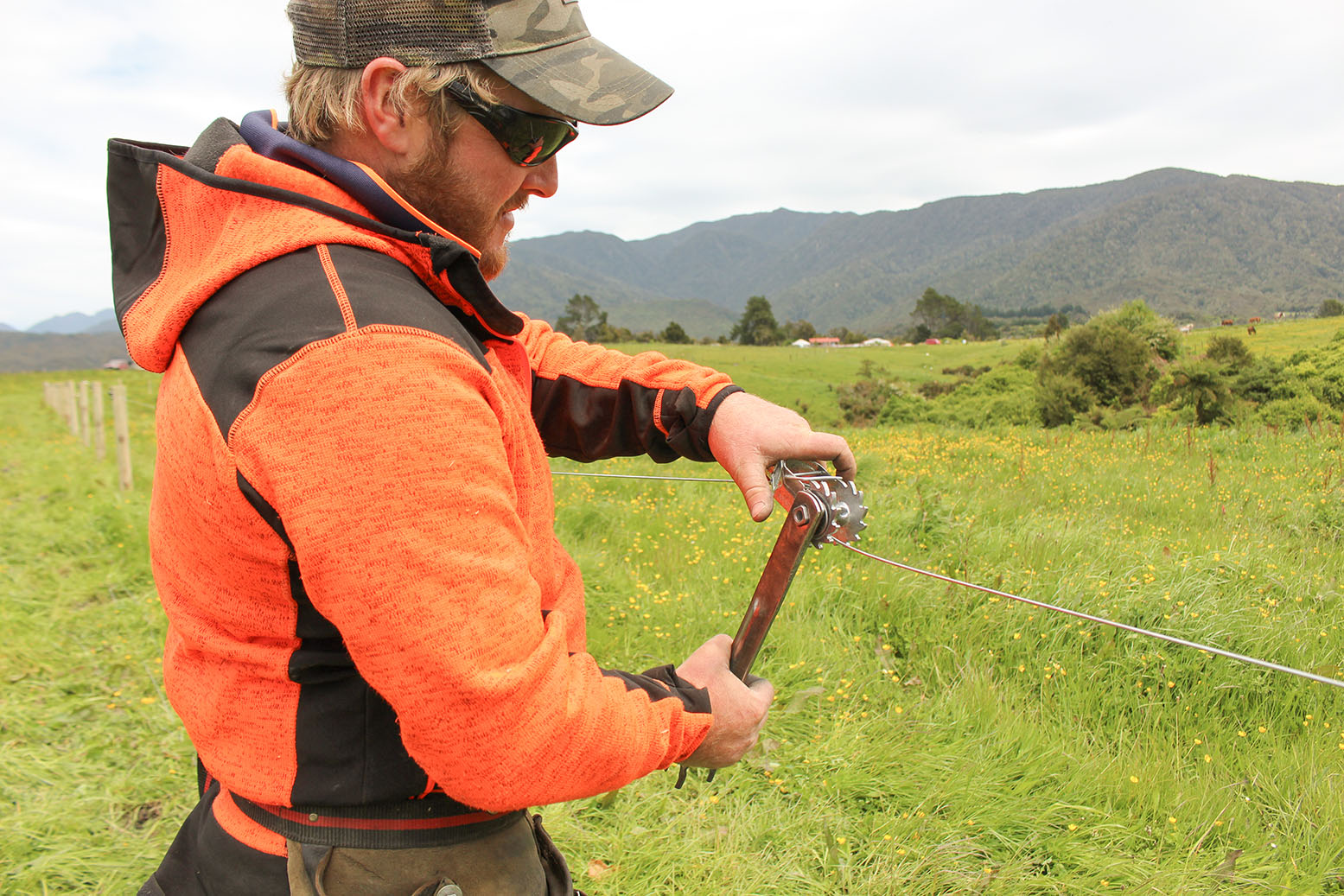Over The Fence - Goldpine