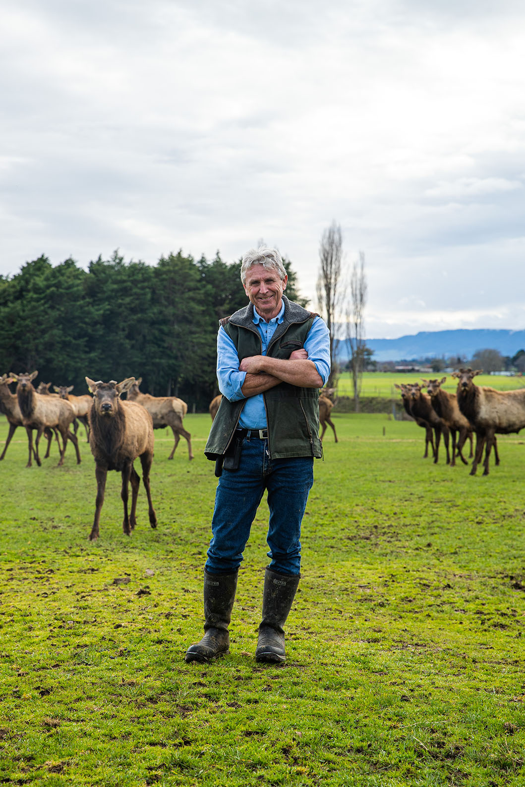 Over The Fence - Goldpine