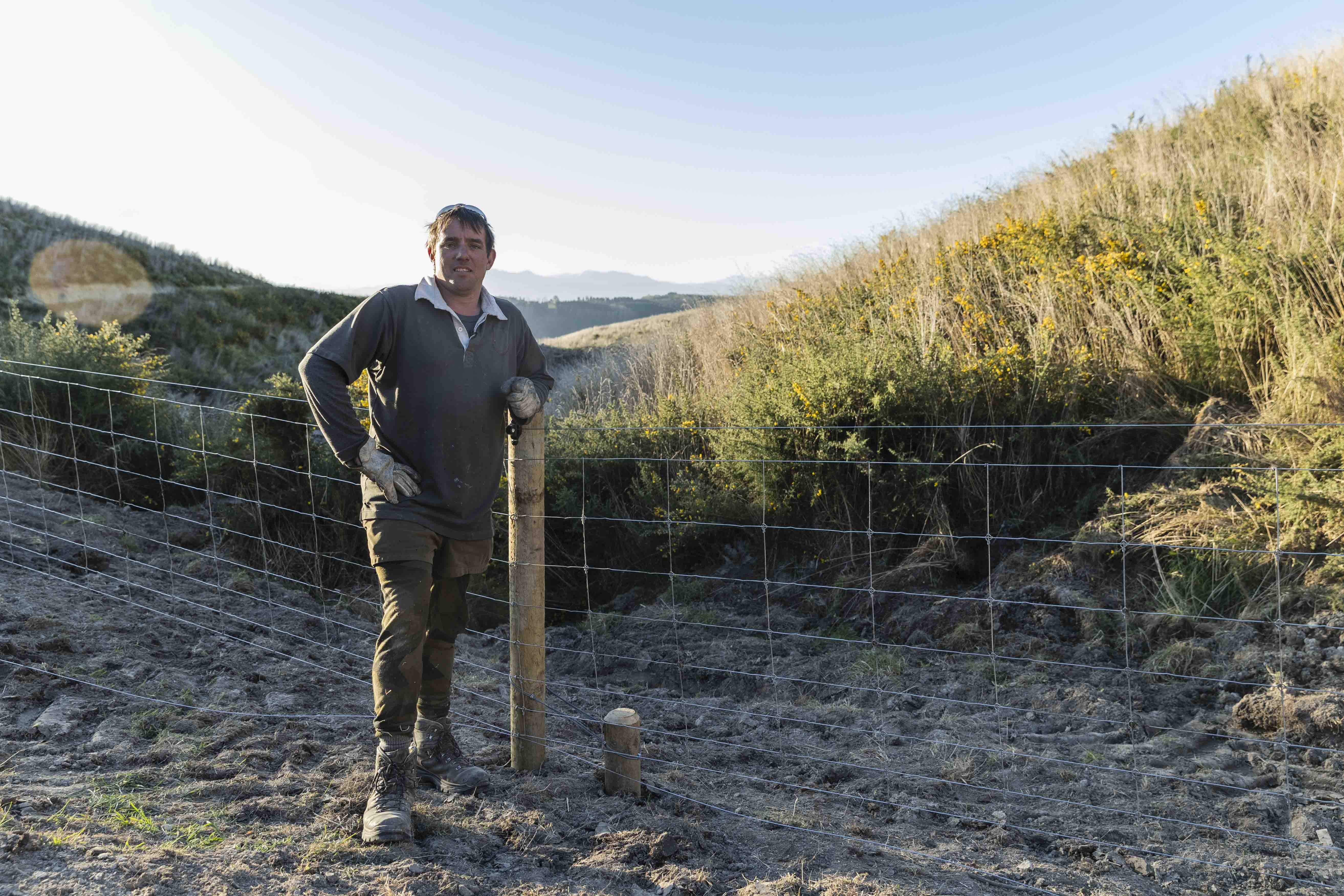 Over The Fence - Goldpine