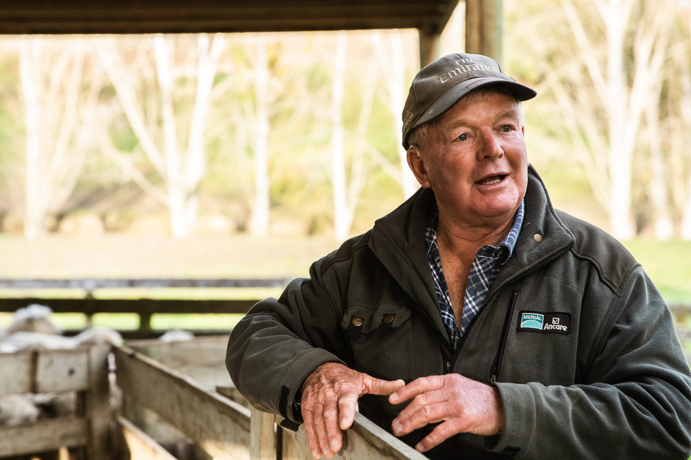 Over The Fence - Goldpine