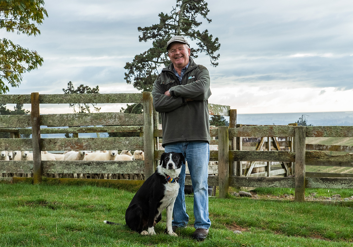 Over The Fence - Goldpine