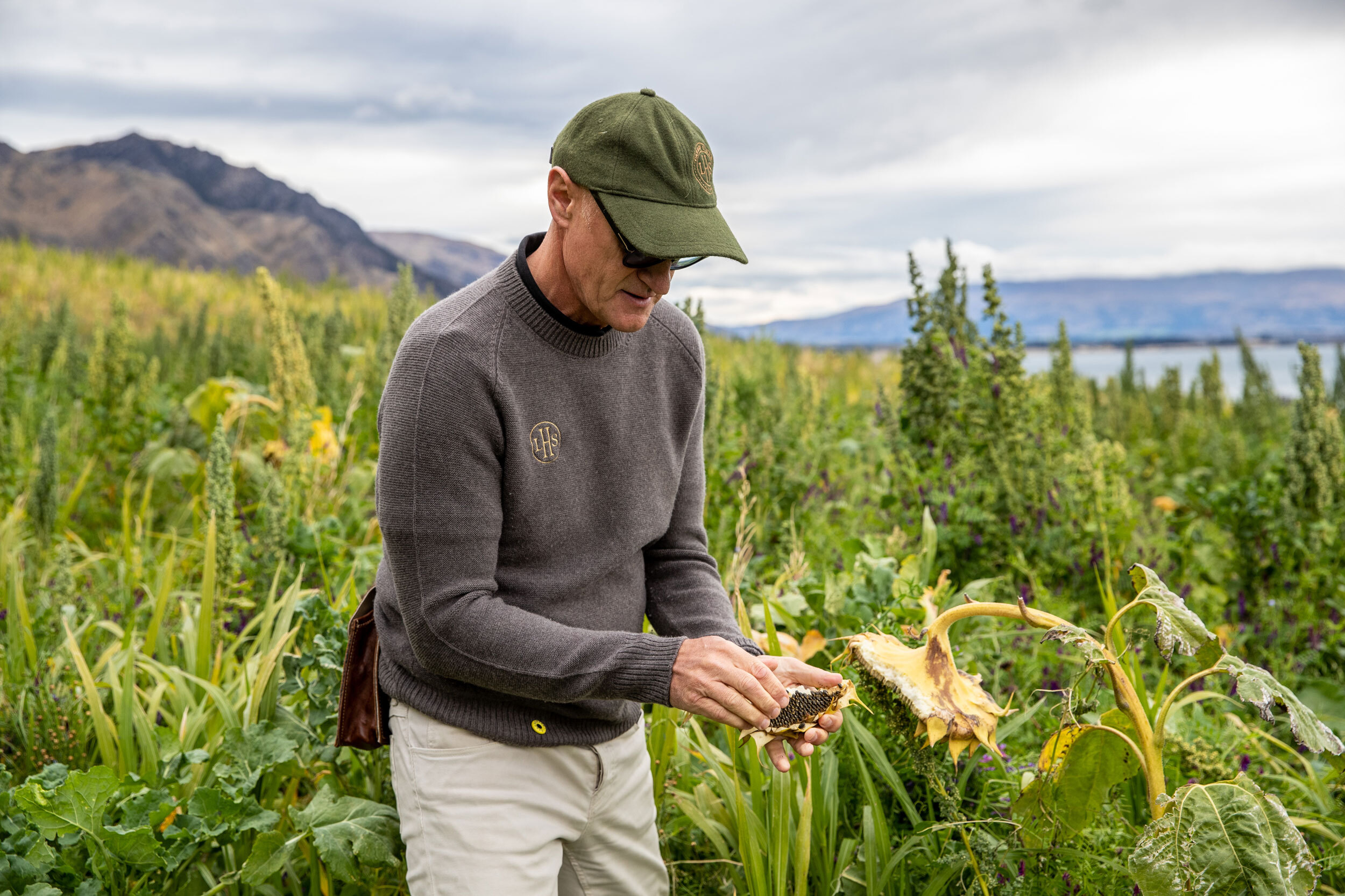 Over The Fence - Goldpine