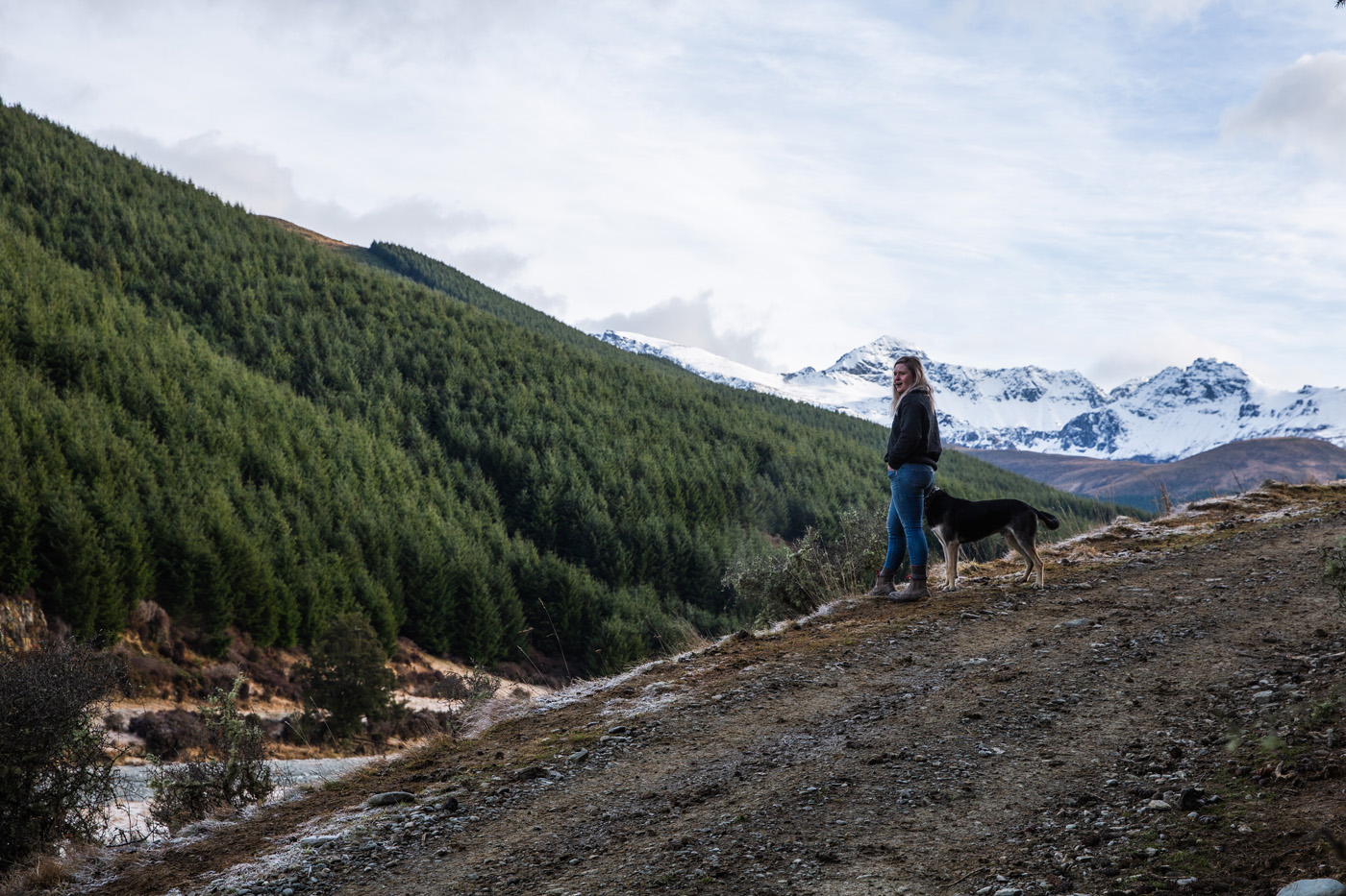 Over The Fence - Goldpine