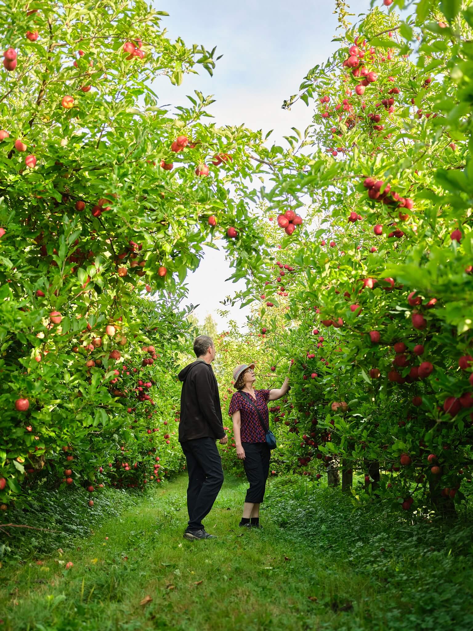 The Post April 2025 - Goldpine