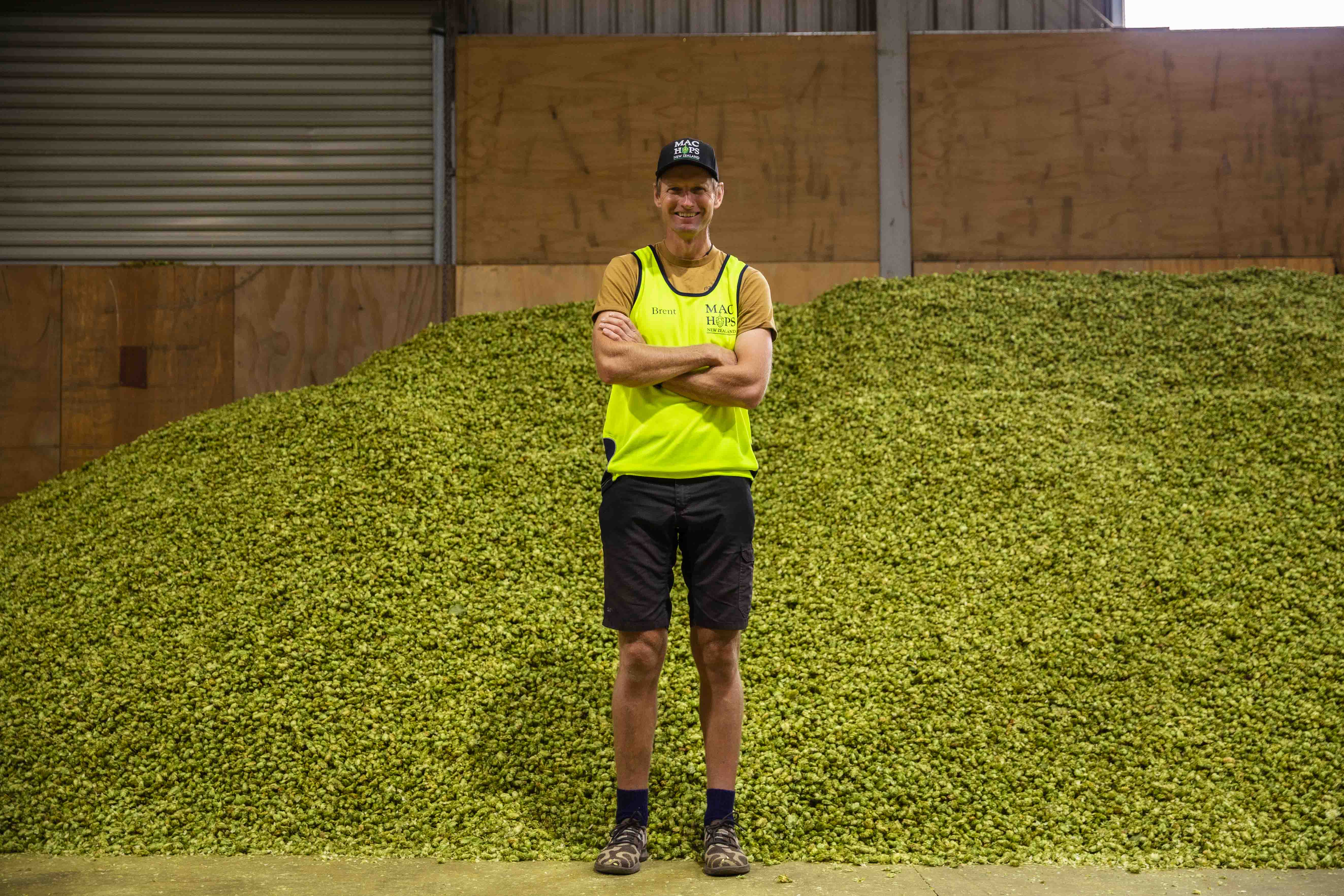 Over The Fence - Goldpine