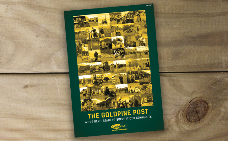 Promotions - Goldpine