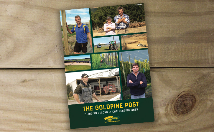 The Goldpine Post – JUNE 2020 - Goldpine