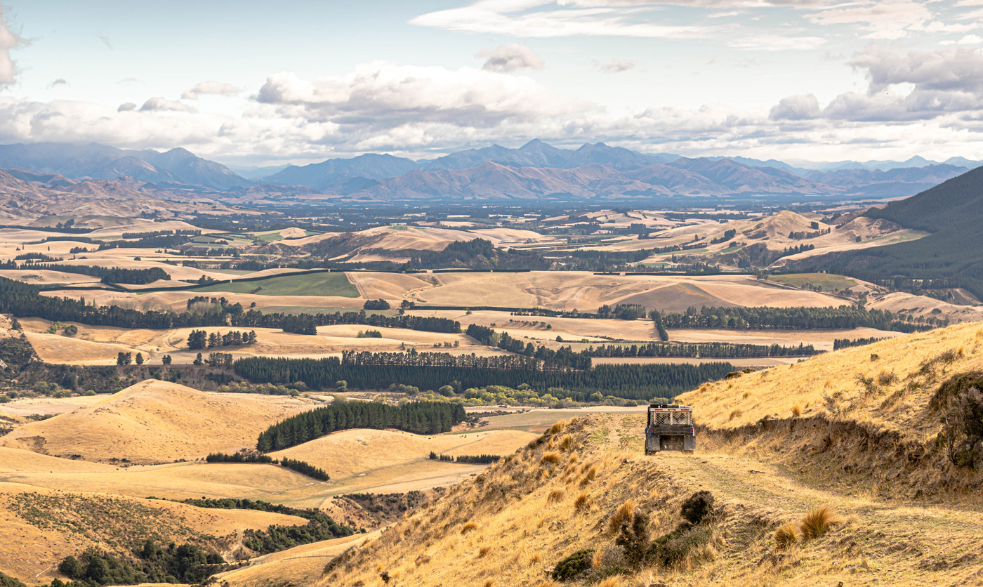 News & Events Posts - Goldpine