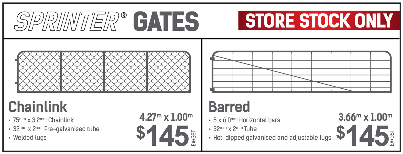 Promotion Posts - Goldpine