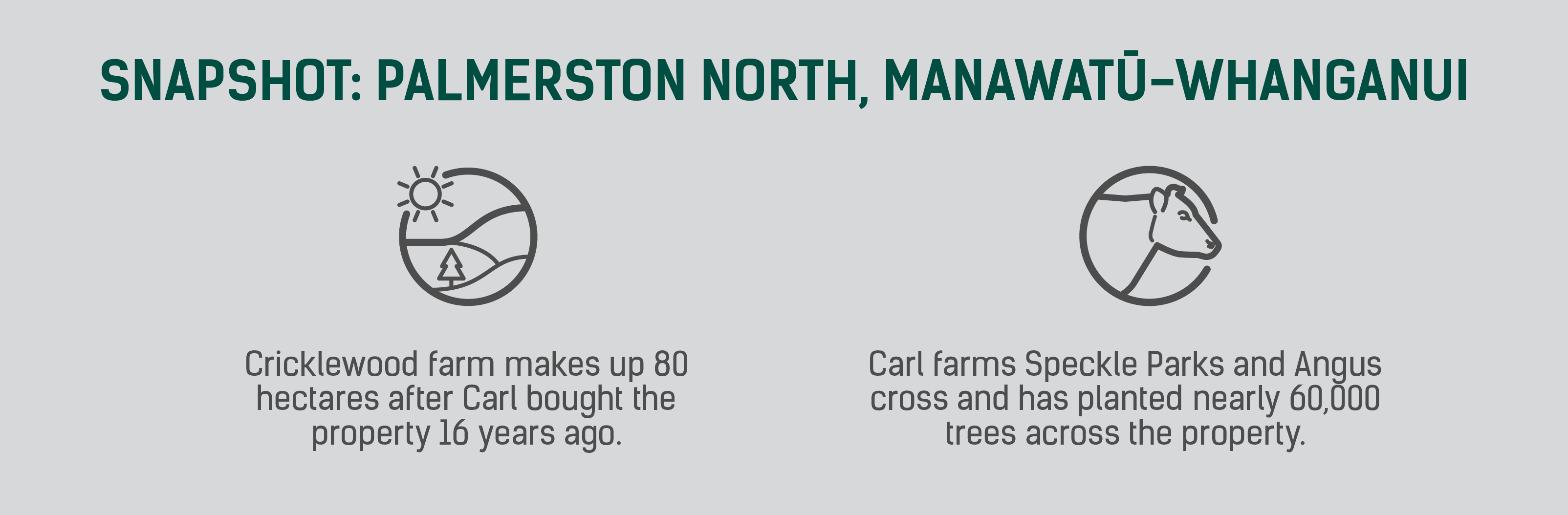 Over The Fence - Goldpine