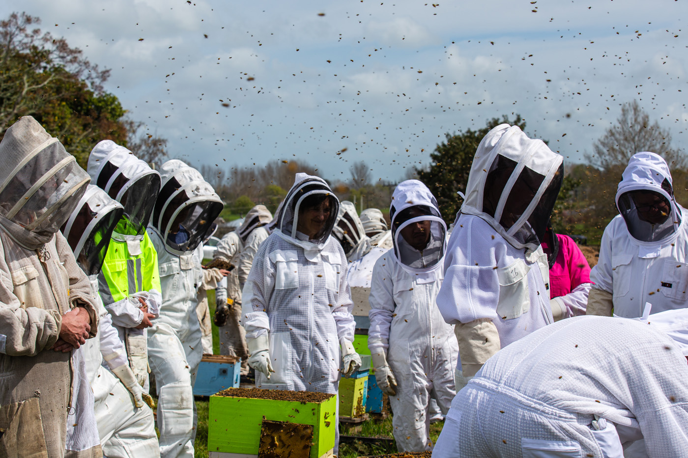 Community - Goldpine