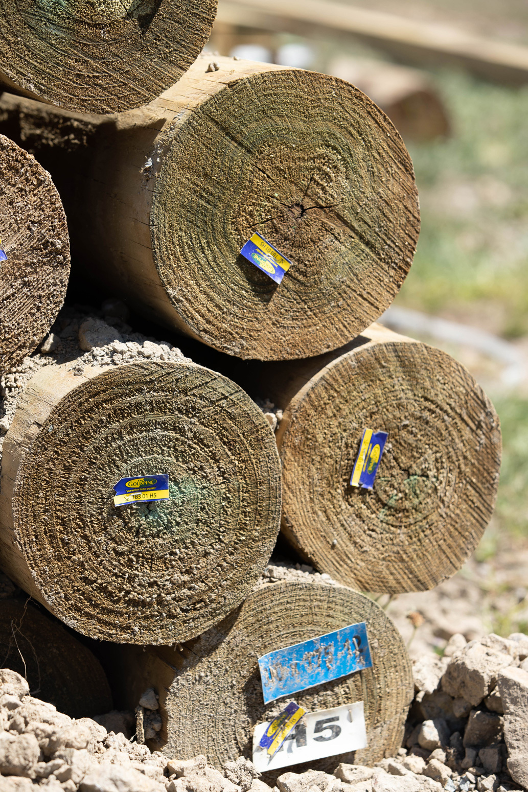 Over The Fence - Goldpine