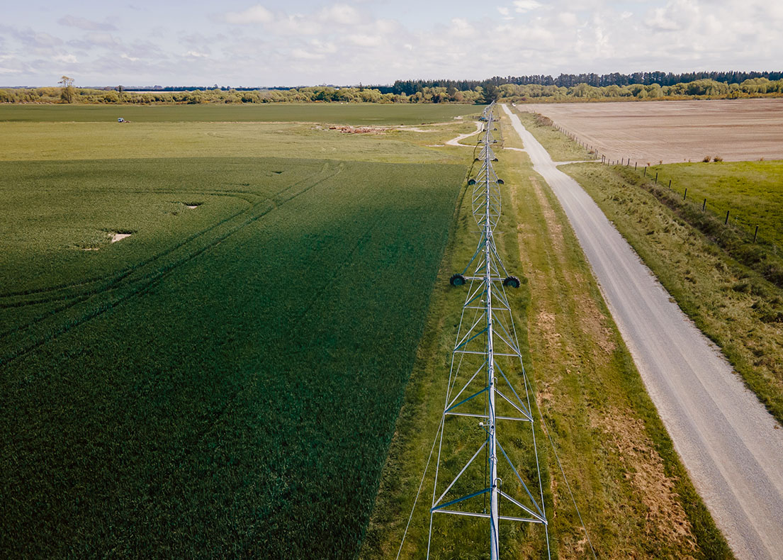 Over The Fence - Goldpine