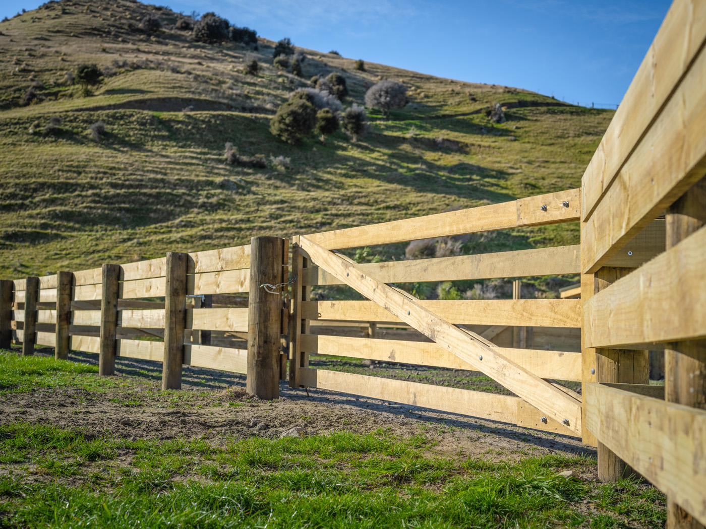 GOFENCE® Timber Gate - Goldpine