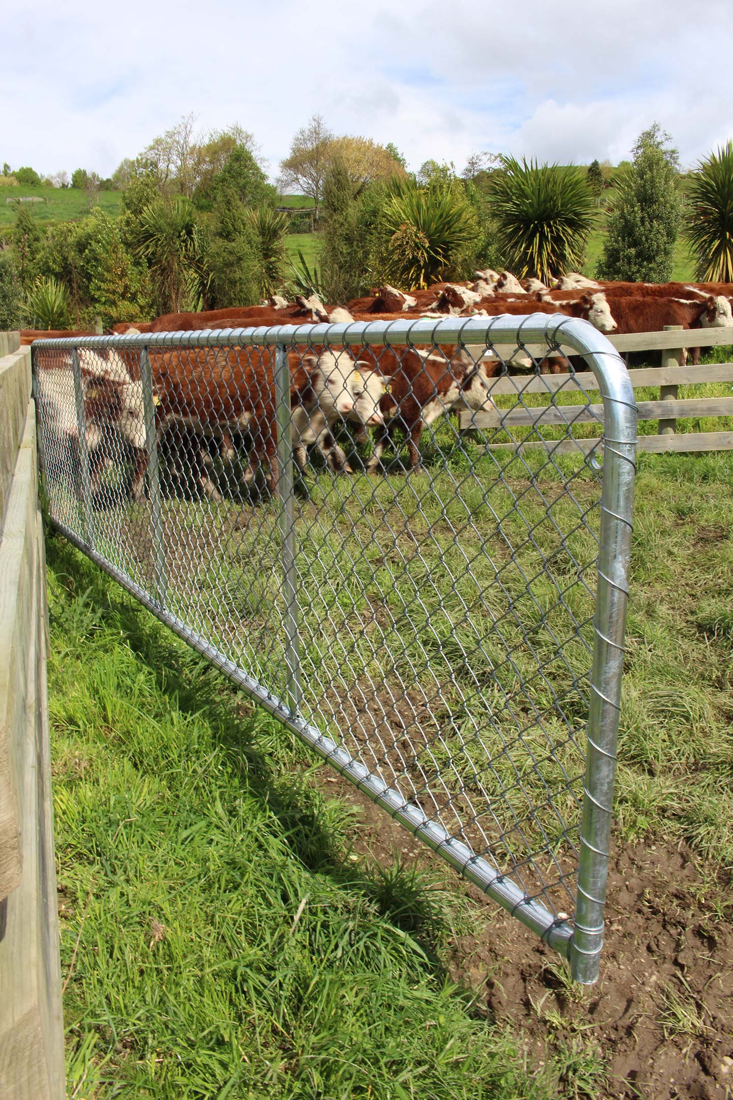 GOFENCE® ENDURANCE® Gates - Goldpine