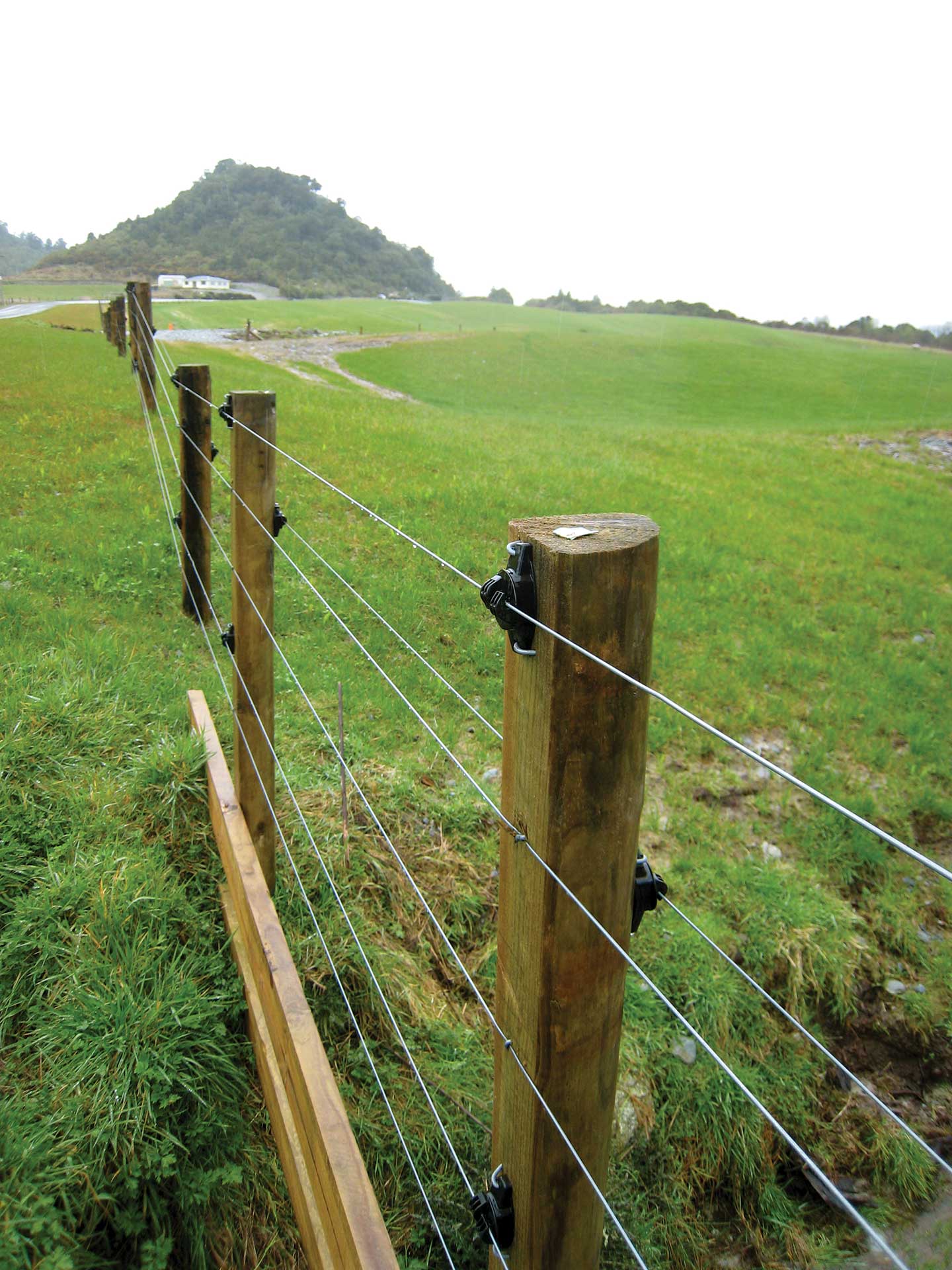 Rounded Superpost® - Goldpine