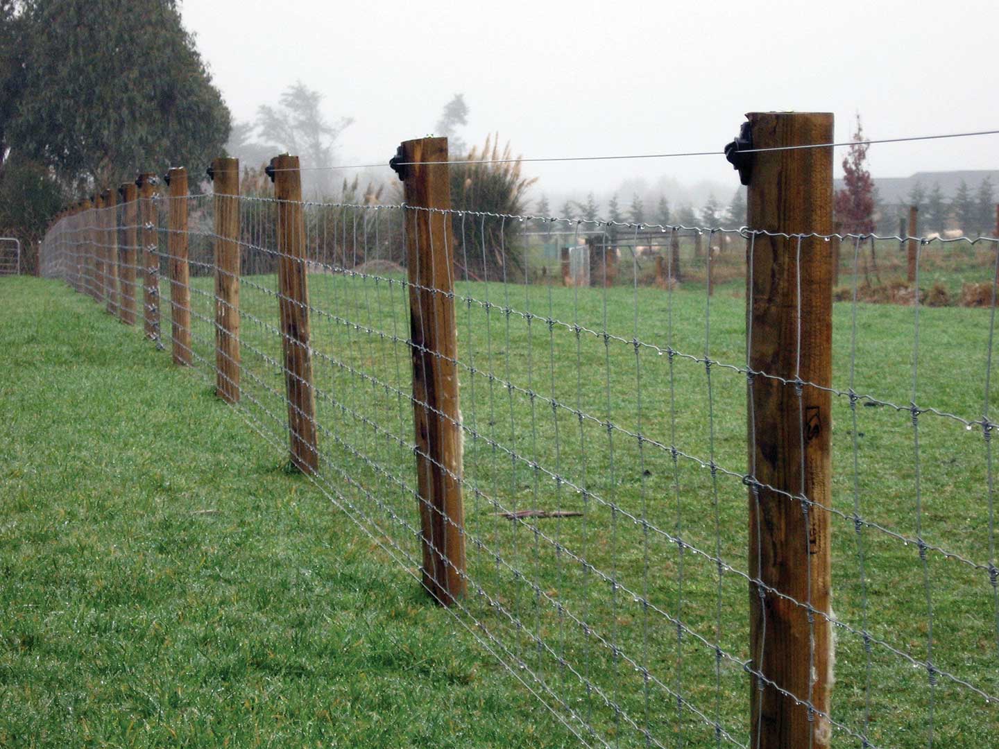 Superpost MAX® - Goldpine